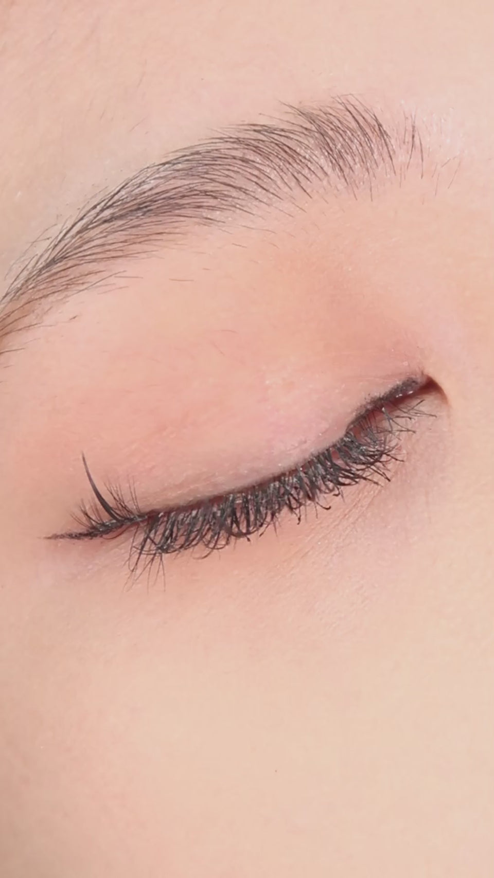 Sweety Vista Violet Colored Contacts | Perfect For Light Violet Eye ...
