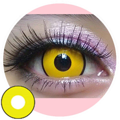 Yellow Contacts I Yellow Colored Contacts | Yellow Eye Contacts – UNIQSO