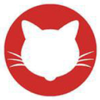 Sweety Crazy Red Cat Shape Halloween Contacts – UNIQSO