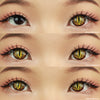 Gold Lizard Eye | Snake Eye | Halloween Contacts – UNIQSO